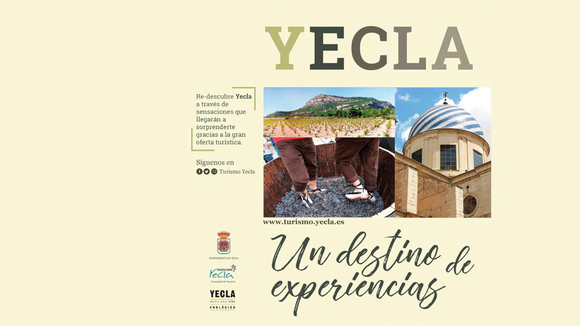 Ruta del Vino de Yecla. Descubre sensaciones